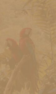 WRT License Application in Malaysia | Moore Bzi